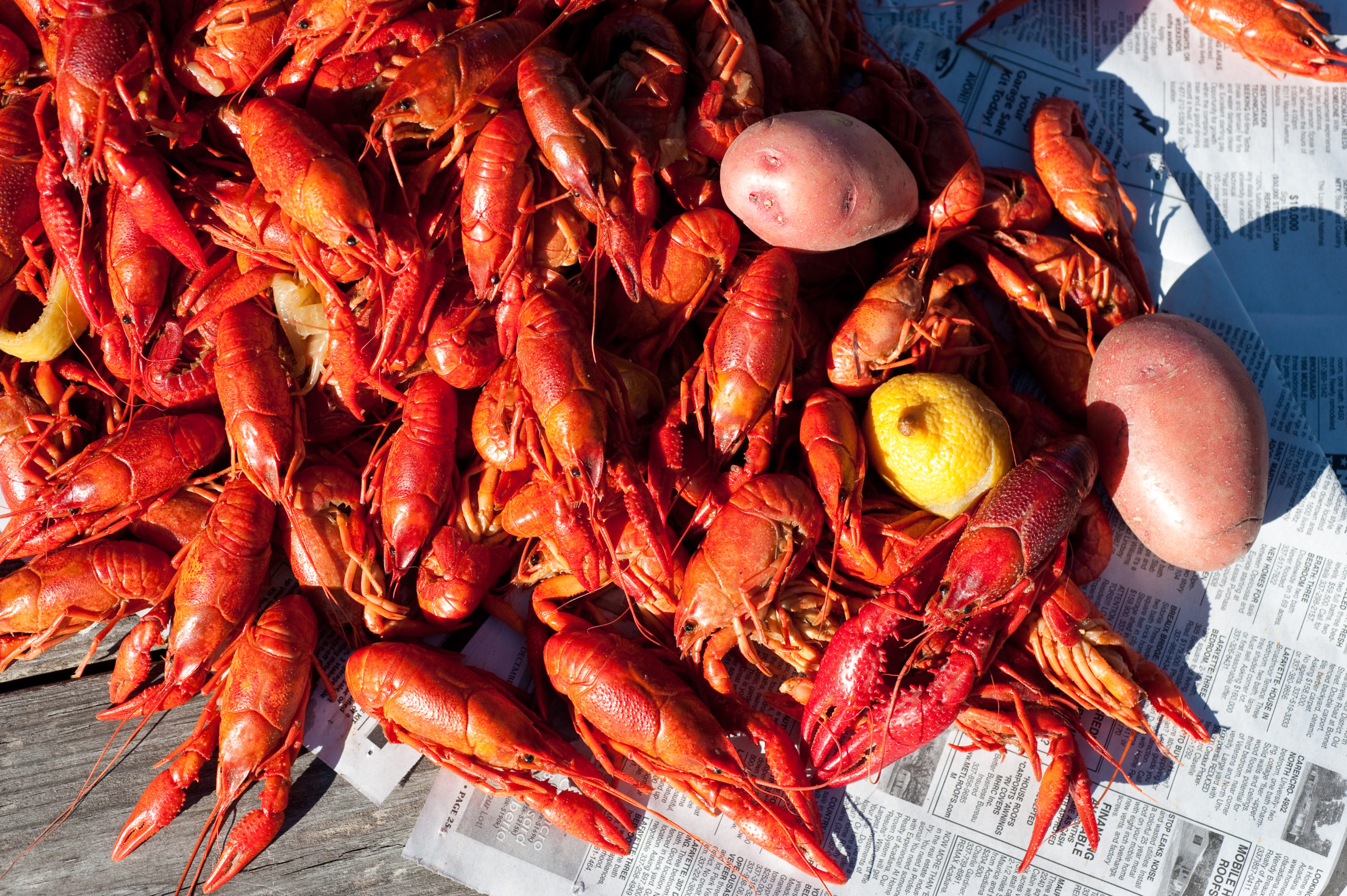 Louisiana Boiled and Raised - Explore Houma