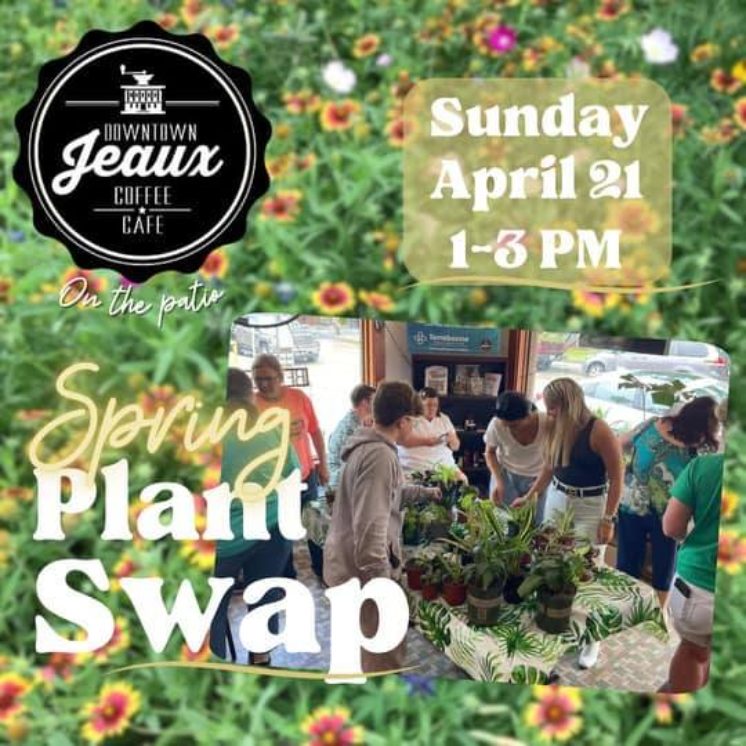 Downtown Spring Plant Swap | Explore Houma